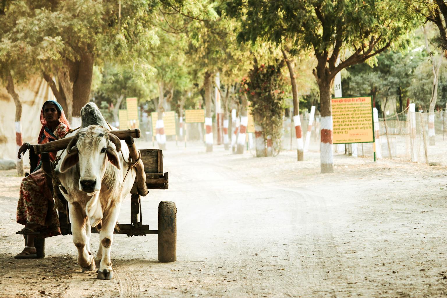 How Digital Literacy Is Shaping The Future Of Rural India
